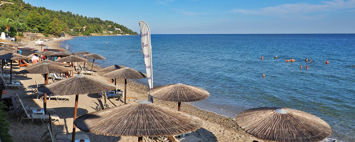 ΝΕΑ ΣΚΙΩΝΗ ΧΑΛΚΙΔΙΚΗ BEACH BAR Η ΕΛΙΑ